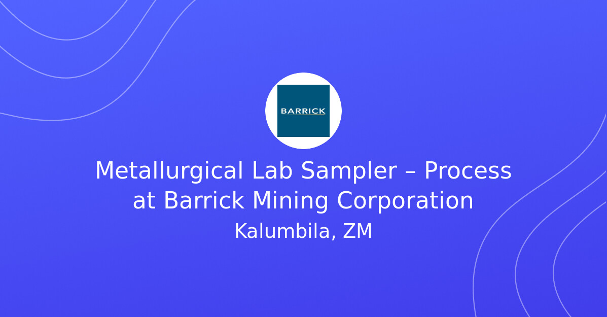 Metallurgical Lab Sampler – Process at Barrick Mining Corporation ...