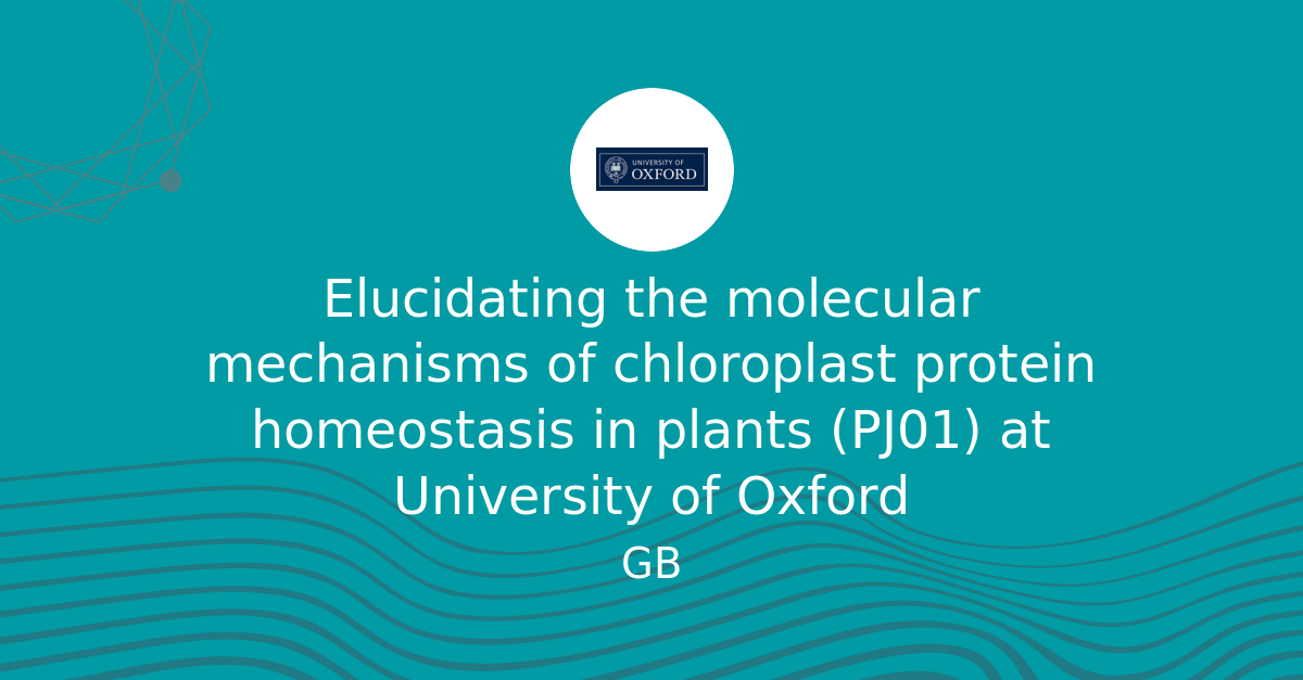 Elucidating the molecular mechanisms of chloroplast protein homeostasis ...