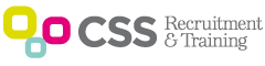CSS Jobs & Careers - Hiredonline